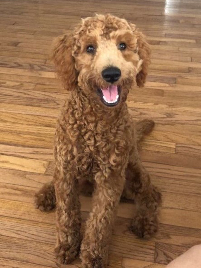 EGAPL Heart of RI – EGAPL Heart of RI